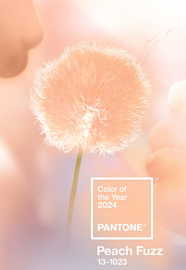 Gita Omri Embraces 2024 Pantone Color of the Year: Peach Fuzz - DANIEL ...