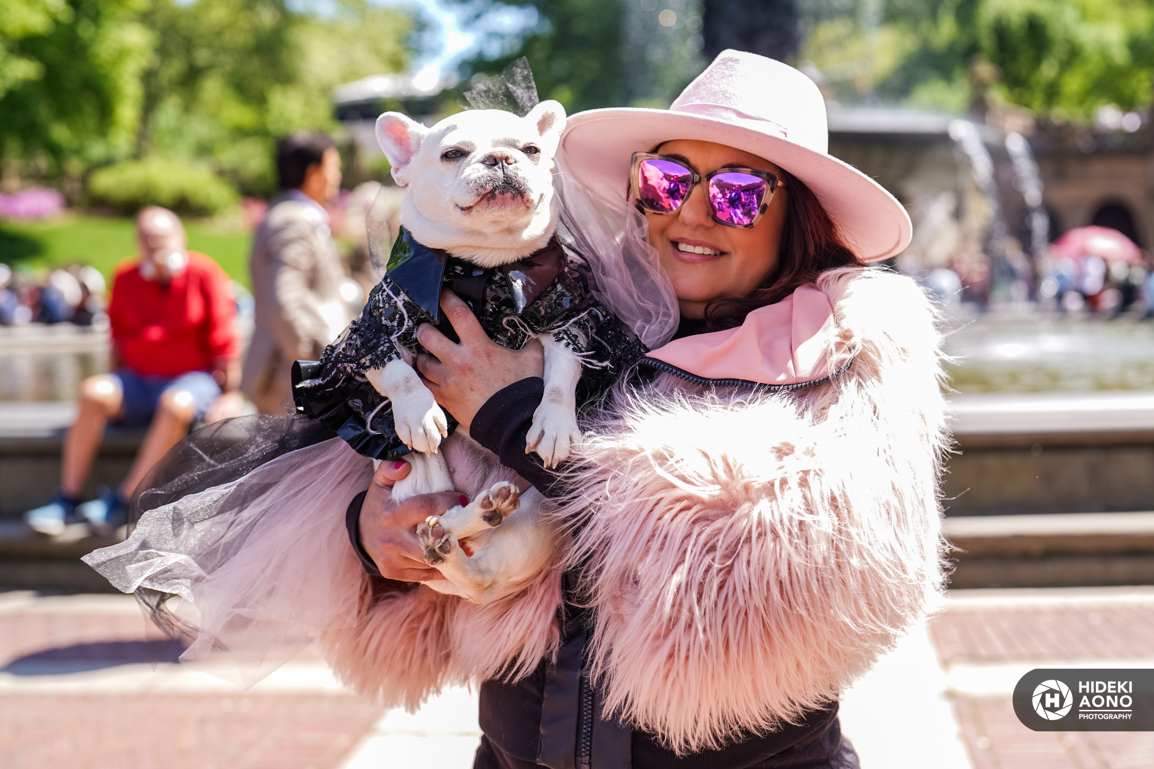 FUNARI: The Pinnacle of Pet Couture - DANIEL+LAUREN