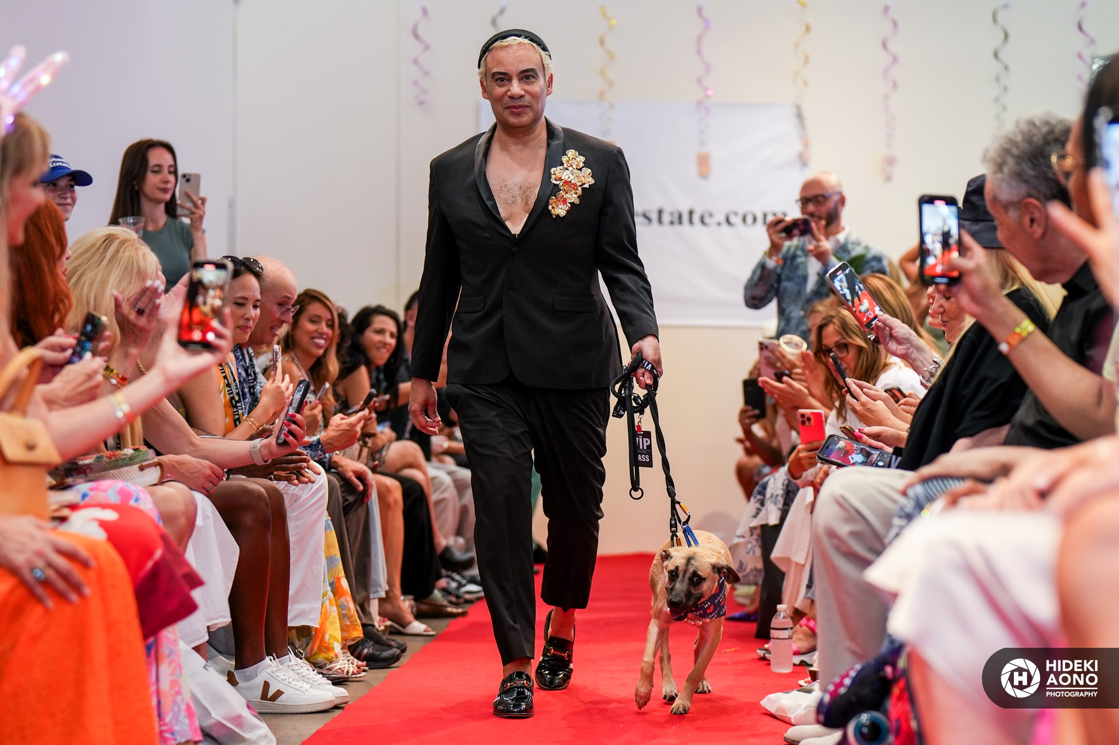 Glamour Unleashed: Inside Look 'Furry, Fashionable & Fabulous' Rescue ...