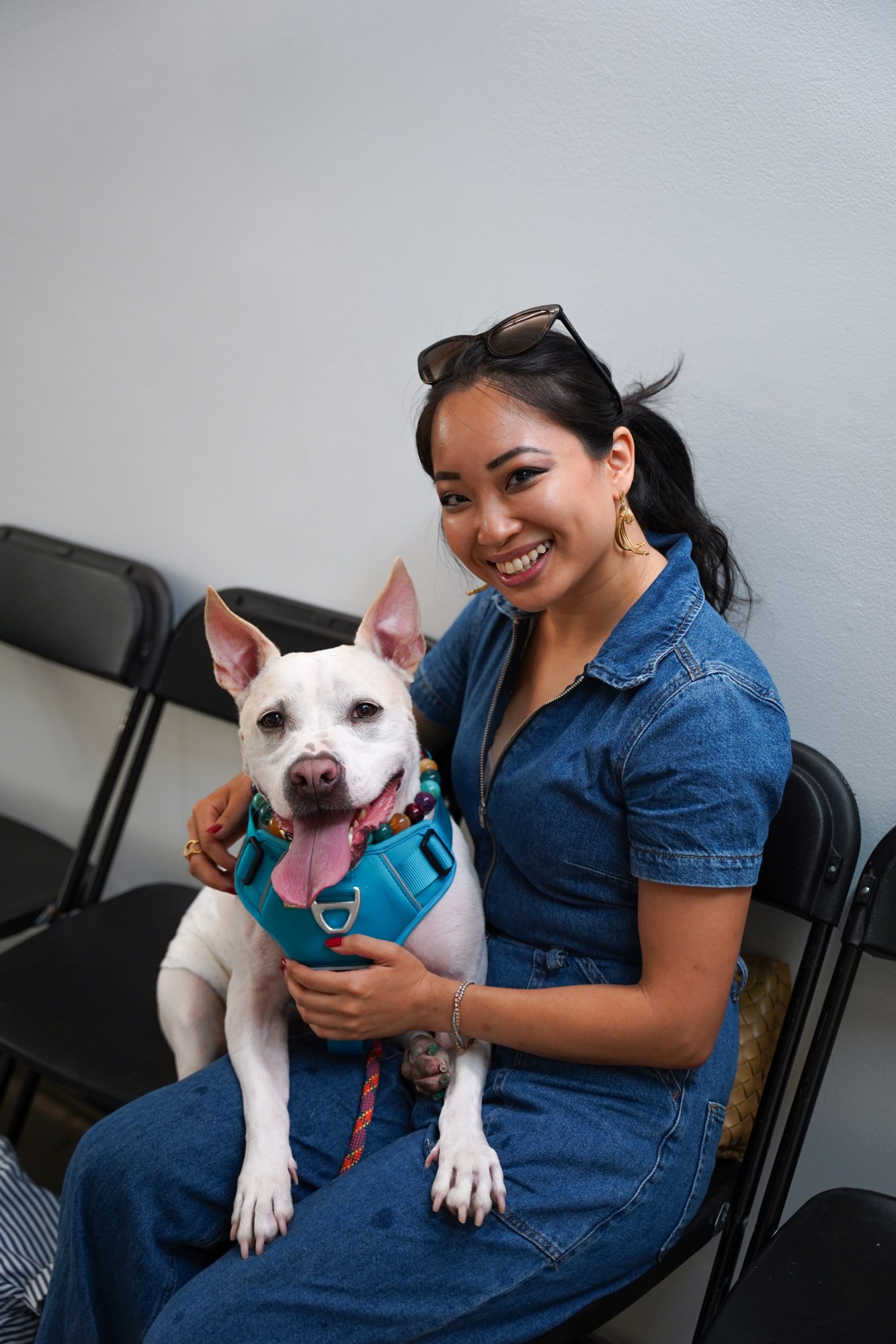Glamour Unleashed: Inside Look 'Furry, Fashionable & Fabulous' Rescue ...